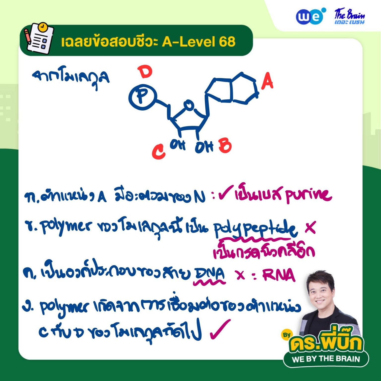 เจาะลึกแนวข้อสอบ A-Level ชีวะ บทออกบ่อยที่ DEK69 ห้ามพลาด!